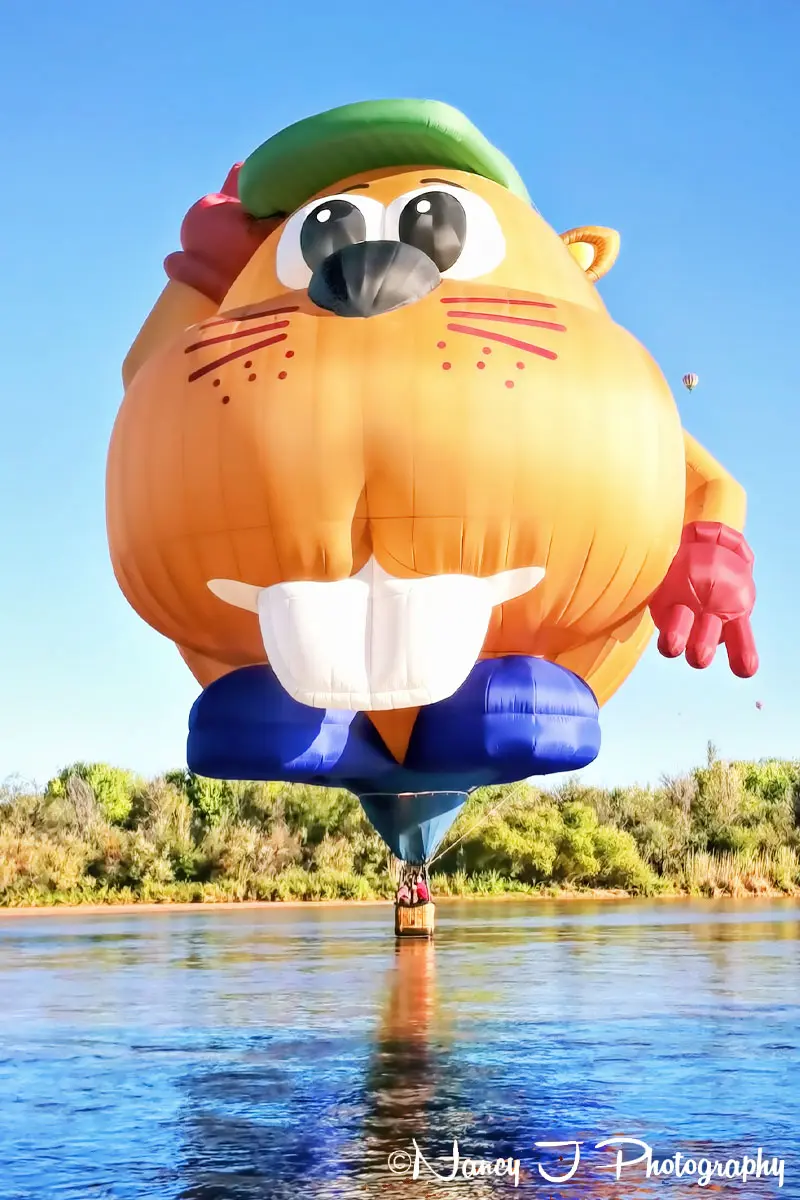 Special Shaped Hot Air Balloons | Endeavor Ballooning
