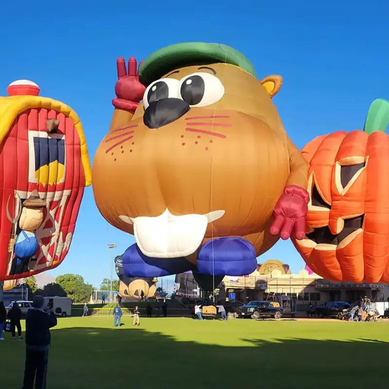 Special Shaped Hot Air Balloons | Endeavor Ballooning