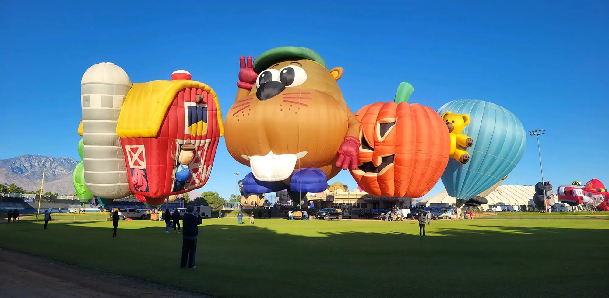 Special Shaped Hot Air Balloons | Endeavor Ballooning